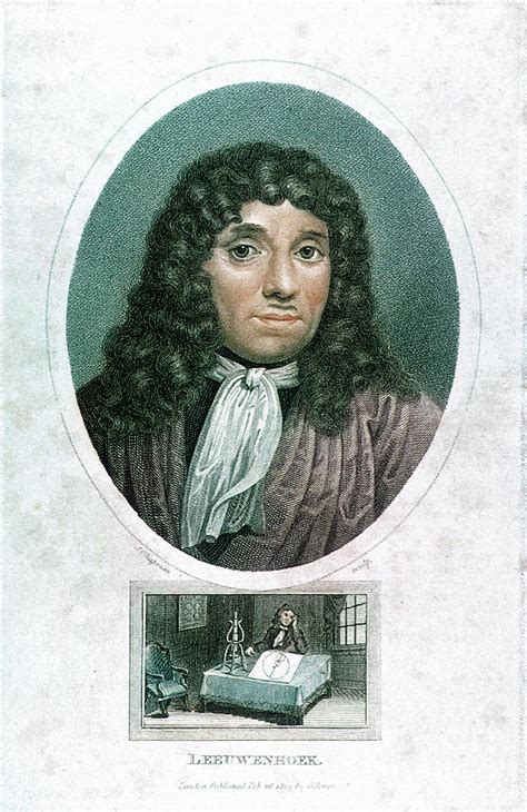 Anton Van Leeuwenhoek 1632 1723 Dutch Drawing By Print Collector