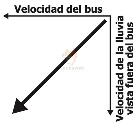 Un bus se mueve con una velocidad constante en la dirección
