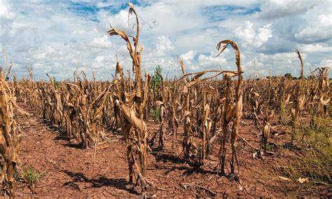 La Conexión Entre Las Sequías Y El Cambio Climático Unión De