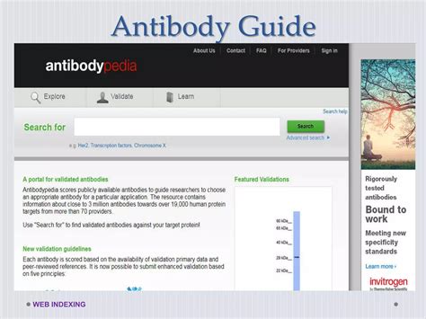 Bridging Histology And Bioinformatics Pptx