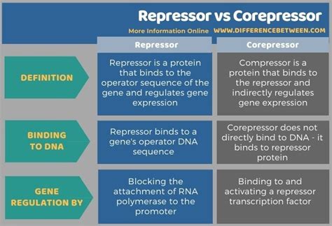 Difference Between Repressor And Corepressor Compare The Difference Between Similar Terms