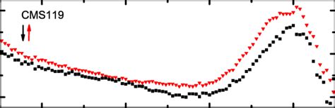 Calculated Experimental Asymmetry Spectra For P And S Polarized