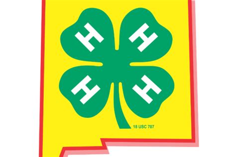 The Clover Academy All Courses The Clover Academy