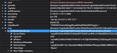 aws cognito srp login in c workhard partyhard