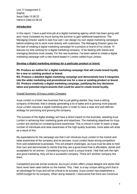 Unit 17 Assignment 2 Digital Marketing Sophie Issue Date15 Hand
