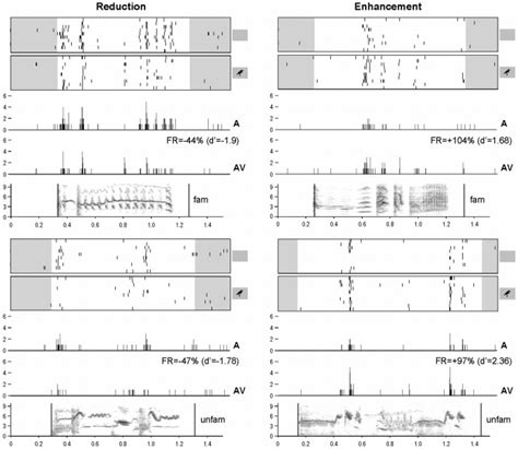 Neuronal Activity Is Represented As Raster Plots Corresponding To The