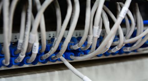 Ethernet Cables Connected To Computer Internet Server Stock Image Image Of Irregular Services