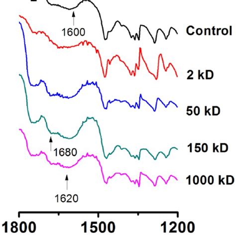 Fourier Transform Infrared Ftir Spectra Of Bioprinted Scaffolds