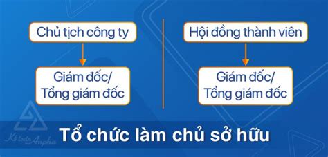 Mô hình tổ chức công ty TNHH 1 thành viên ntn?