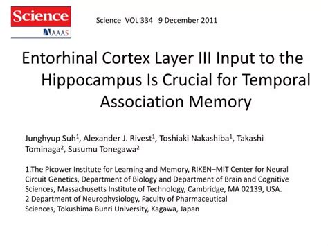 Ppt Entorhinal Cortex Layer Iii Input To The Hippocampus Is Crucial For Temporal Association