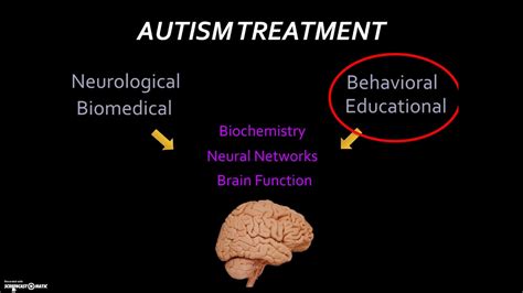 Mitochondrial Dysfunction In Autism Spectrum Disorders Part 2 Of 2 Youtube