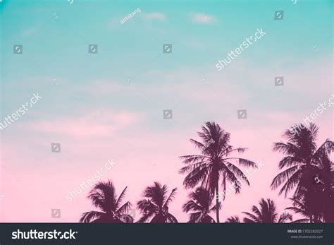 Pink Sky Tree 677816개가 넘는 로열티 프리 라이선스 대상 스톡 사진 Shutterstock