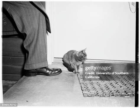 Dana Gordon Photos And Premium High Res Pictures Getty Images