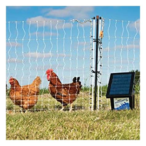 Electric Chicken Fence Netting Electric Poultry Netting Xinhui Netting