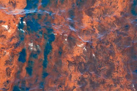 Gulf Of Mexico Oil Spill Turtle Island Restoration Network
