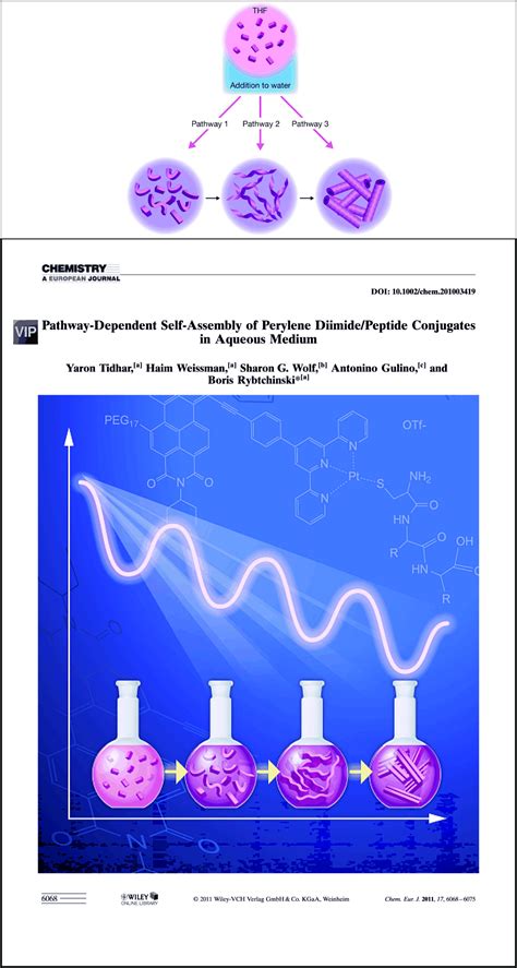 Pathway‐dependent Self‐assembly Of Perylene Diimidepeptide Conjugates