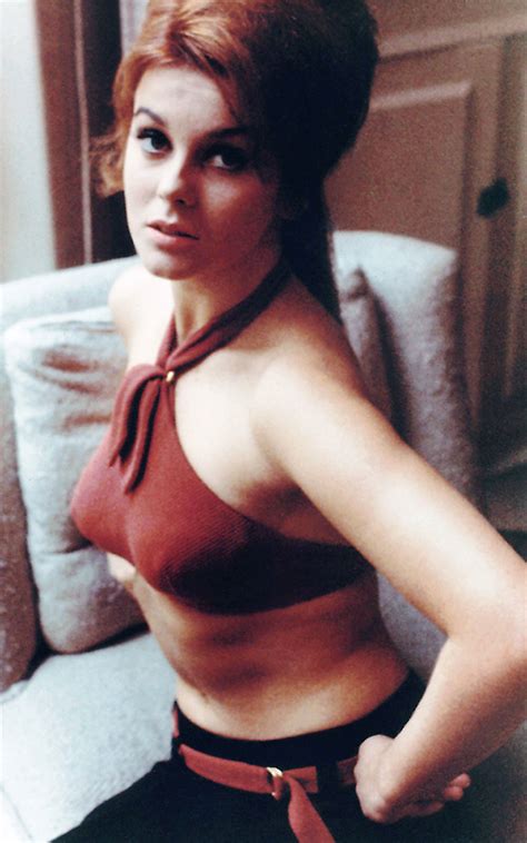 Ann Margret Classic Beauty Icon Of The 1960s ~ Vintage Everyday