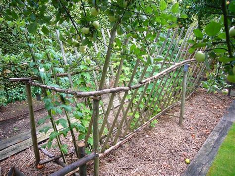 17 Best Images About Raspberry Trellis On Pinterest Gardens Raised Beds And The Old