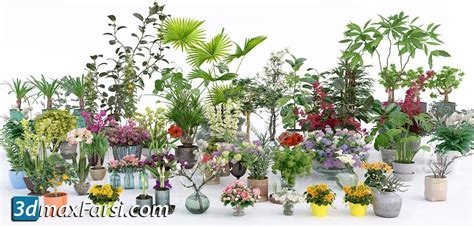 Evermotion Archmodels Vol 173 Plant Collection Plants Flowers