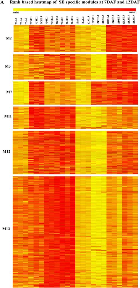The Heatmap Of Tissue Specific Modules At 7daf And 12daf A Starchy