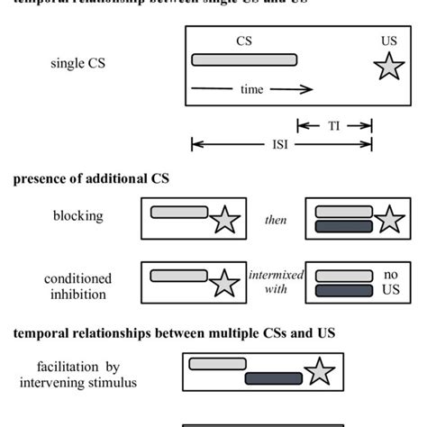 Schematic Of Stimulus Presentation For Different Types Of Classical Download Scientific Diagram
