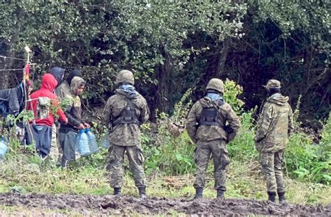 СМИ Австрии 4246 нелегальных въездов в Германию через Беларусь за месяц