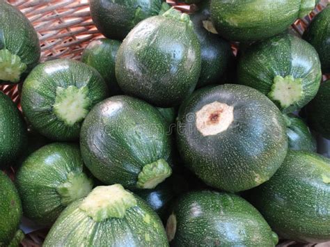 Сквош шарика зеленого цвета 8 сквош Cucurbita Стоковое Фото изображение насчитывающей сквош