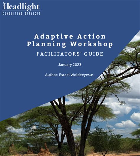Adaptive Action Planning Workshop Facilitators Guide Headlight Consulting Services