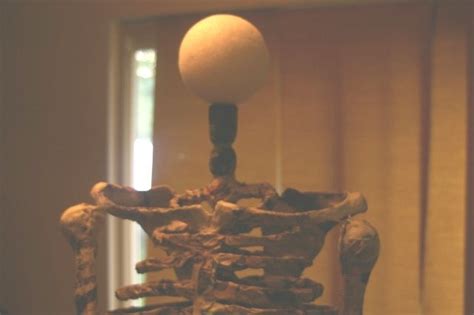 B Y O B Updated Make Your Own Skeleton Page 2 Halloween Forum