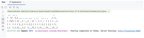 micronaut intellij idea documentation