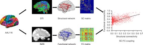 Flow Chart Of Data Analysis Sc Matrix And Fc Matrix Is Computed From Download Scientific