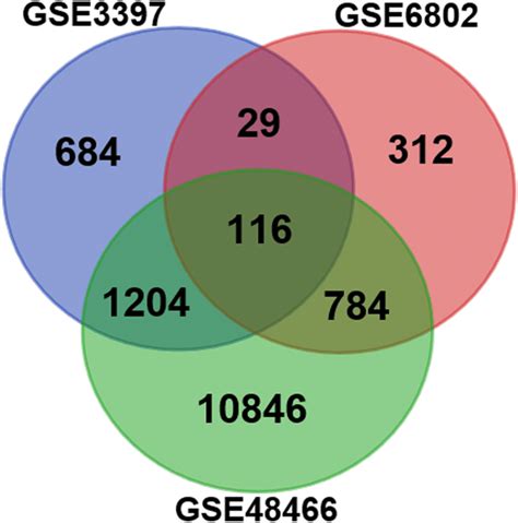DEGs In Three MRNA Microarray Datasets Identified Using GEO R P Download Scientific Diagram