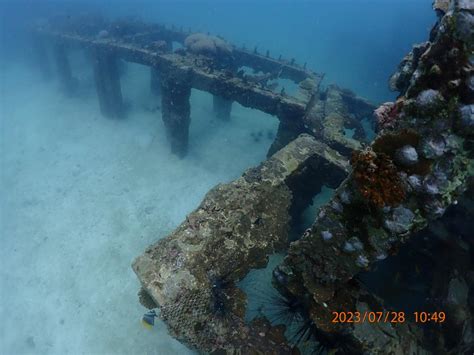 คลิป โลกใต้ทะเลเกาะพีพีสุดสวย แต่หวั่นปะการังถูกทำลาย วอนติดตั้งทุ่นผูกเรือเพิ่ม