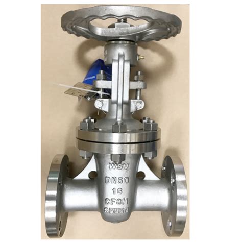 Dn65 Pn16 Gate Valve Cf8m