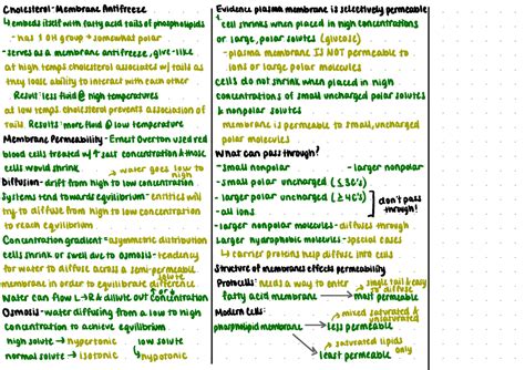 BIO 201 Cell Biology Notes Cholesterol Membrane Antifreeze