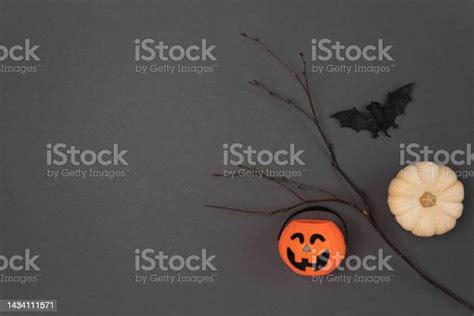 박쥐 거미 호박 및 나뭇 가지가있는 할로윈 검은 배경 현대 휴일 디자인 다크 그레이 색상의 할로윈 파티 테두리 플랫 레이 상단