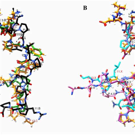 putative binding modes obtained from molecualr docking of peptides to