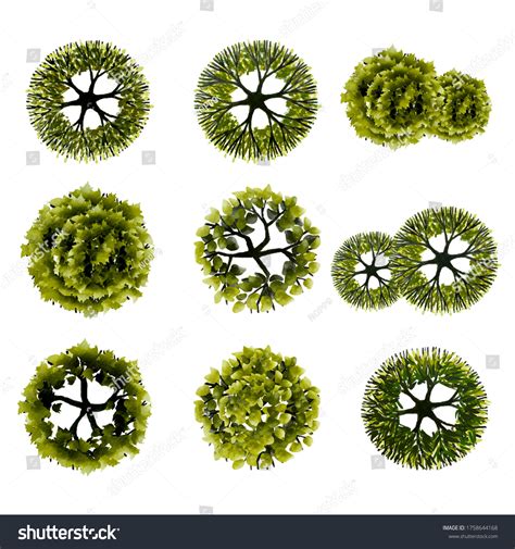 Set Watercolor Tree Top View Landscape Stock Illustration Shutterstock