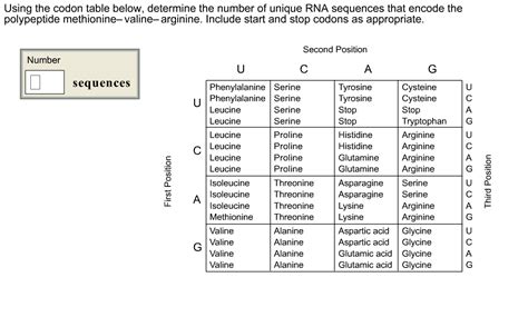 Solved The Diagram Below Illustrates The Secondary Structure