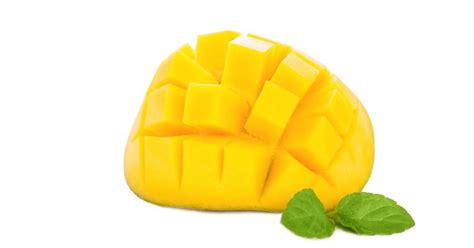 10 Fakta Unik Semut Api Serangga Dengan Sengatan Menyakitka Idn Times