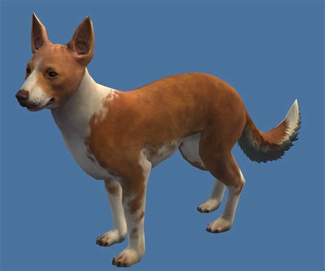 Mini Basenji Guild Wars 2 Wiki Gw2w