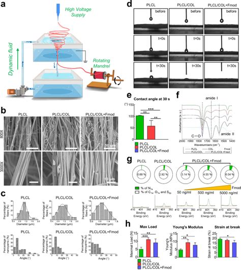 Type I Collagen And Fibromodulin Enhance The Tenogenic Phenotype Of Hascs And Their Potential
