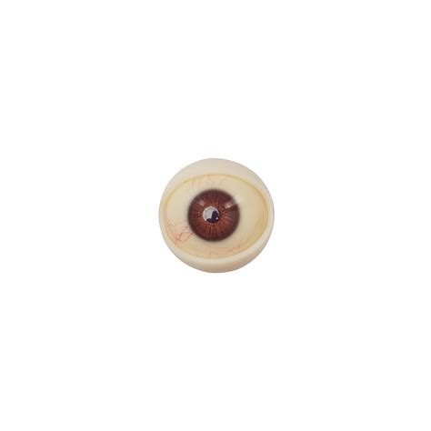 Sex Doll Eyes 100 Extra Eyes For Realistic Love Doll Coeros