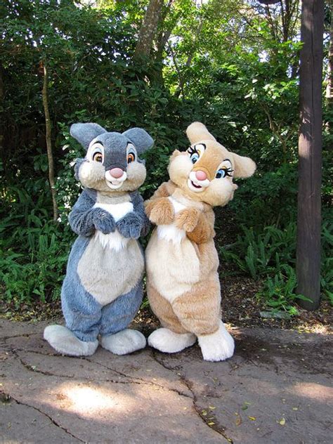 Thumper And Miss Bunny Disney Parade Disney Characters Costumes