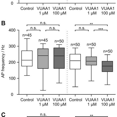 Vuaa1 Dependent Msexorco Activation Does Not Increase The Download