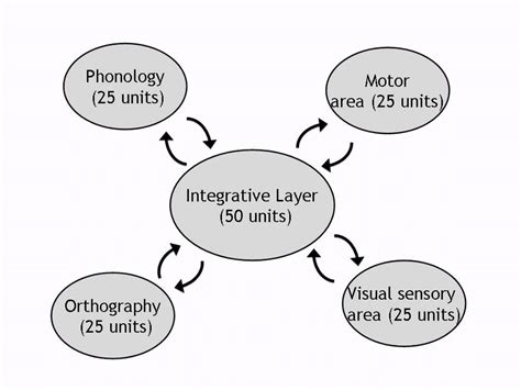 The Integrative Layer Model Of Embodied Cognition Download