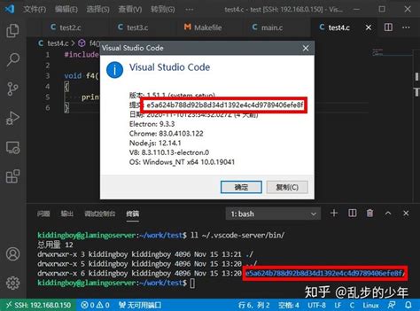 VS Code Server的离线安装过程 vscode server 离线安装 CSDN博客