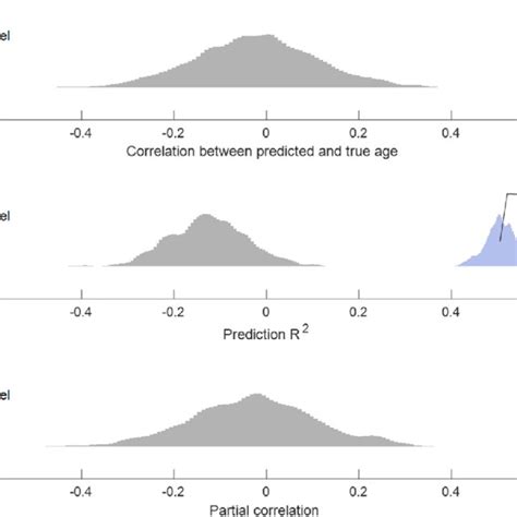 Distributions Of Age Prediction Model Performance Metrics Top Pearson