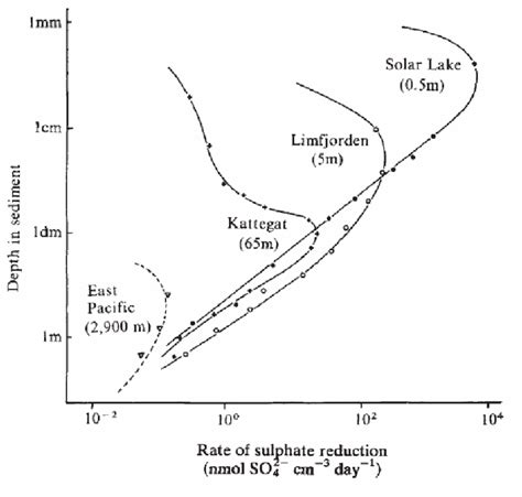 1 Rate Of Bacterial Sulfate Reduction For Various Sedimentary Regimes