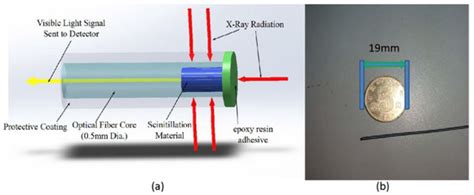 Sensors Free Full Text Fiber Optic Sensors For Harsh And High Radiation Environments In